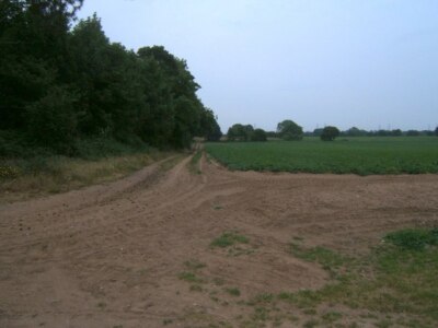 Photo 6x4 Track leading off Sandlings Walk by Round Covert Aldringham ...