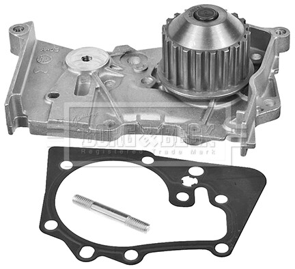 CAPSautomotive Water Pump for Renault 8200428447 7700274330 7700105378 ...