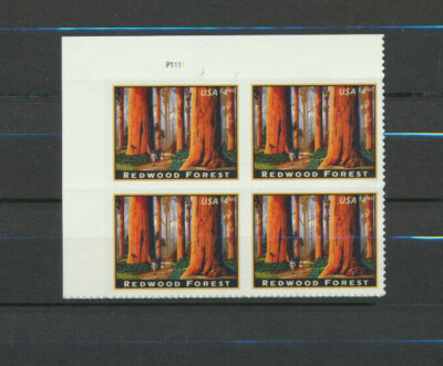Redwood Forest CALIFORNIA Mint NH Priority Mail Stamp Scott #4378 PLATE ...