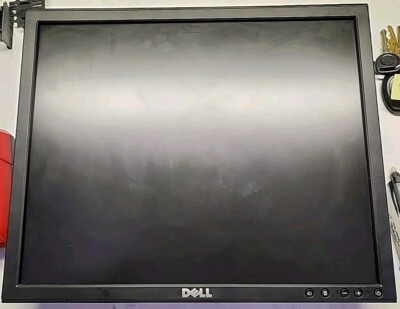DELL P190Sb 19" LCD computer Professional panel monitor screen display ...