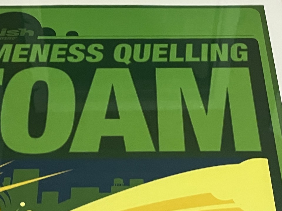 Phish Nassau 2/28/2003 Scott Campbell SAC Print Concert Poster Framed ...