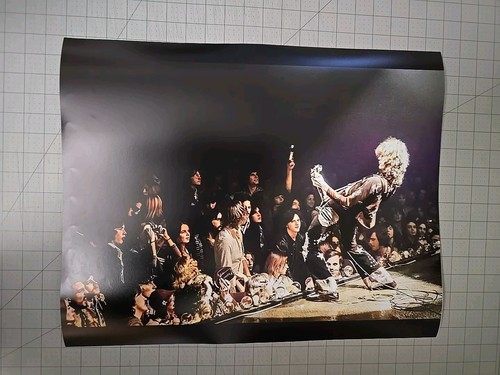 Circa 1975 Led Zeppelin Detroit Concert Olympia Stadium Jimmy Page ...