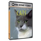 Understanding Cats (DVD) 841887007153 | eBay