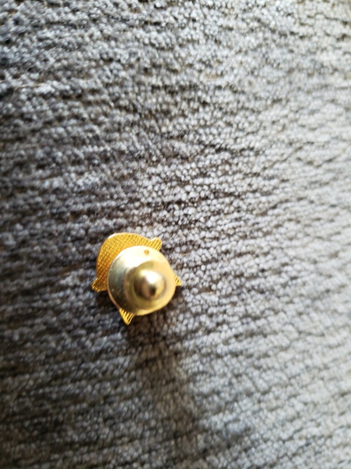 CSEA CALIFORNIA SCHOOL EMPLOYEES ASSOCIATION RETIRED 1/10 10K Lapel Pin ...