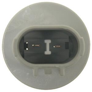 Sidemarker Light Socket Standard Motor Products S1091 | eBay