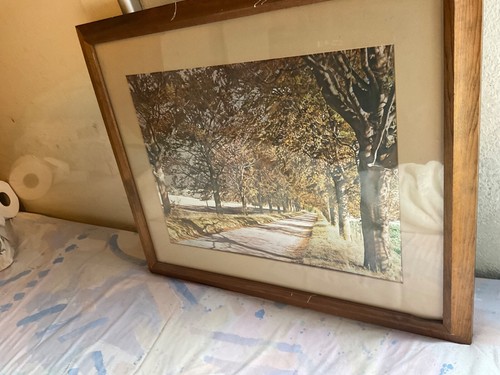 Vintage Copper Etching Art Litho Proof Print Plate Rural RD Trees scene ...