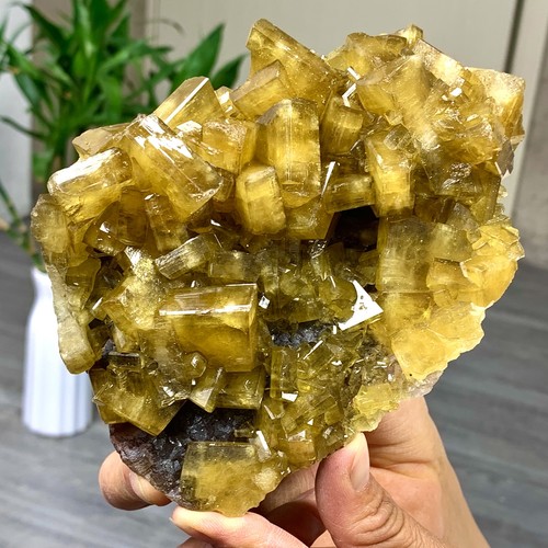 2.72LB Shiny Golden Cuboid Barite Crystal Based on the Purple Spherical ...