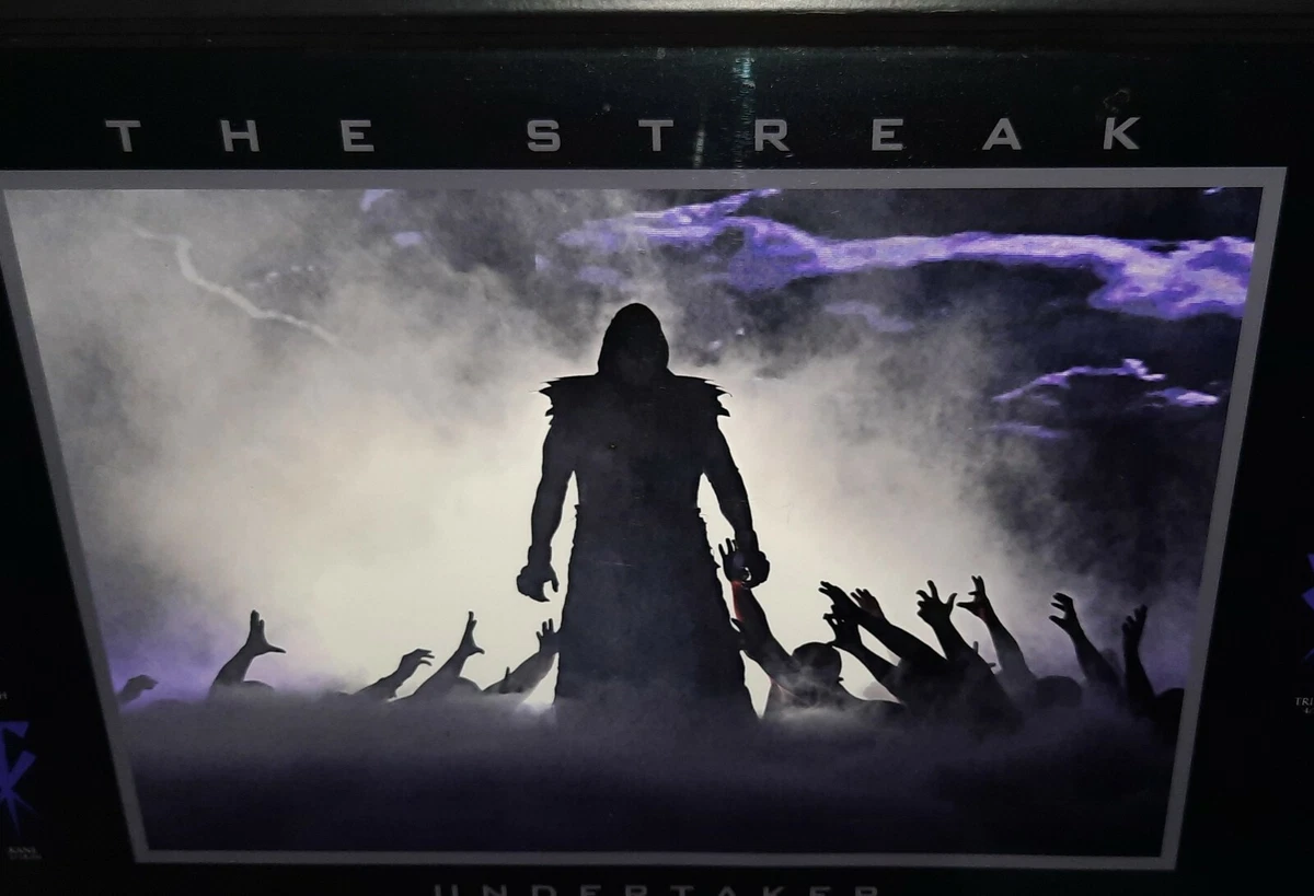 Undertaker Wrestlemania 29 21 0