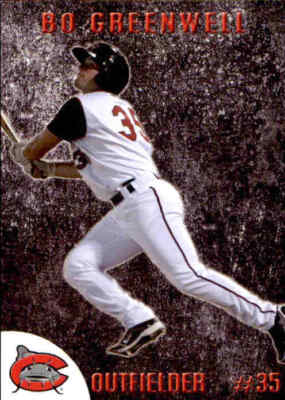 2012 Carolina Mudcats Team Issue #15 Bo Greenwell Fort Myers Florida FL ...