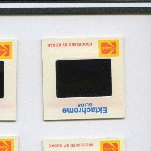 Carl Shafer #21 Chevy Camaro - 1976 Camel GT/IMSA Ontario - Vtg Race ...