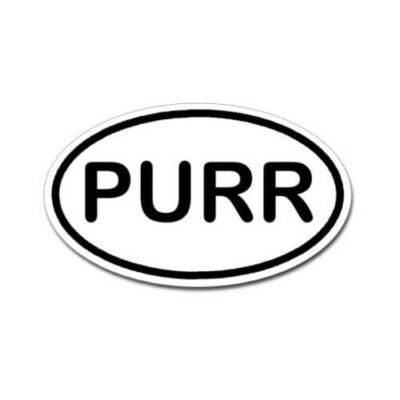 PURR Cat Sticker Decal cute kitty | eBay