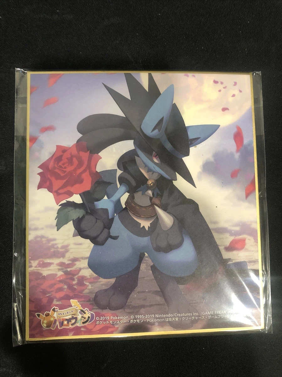 Pokemon Lucario Trainer