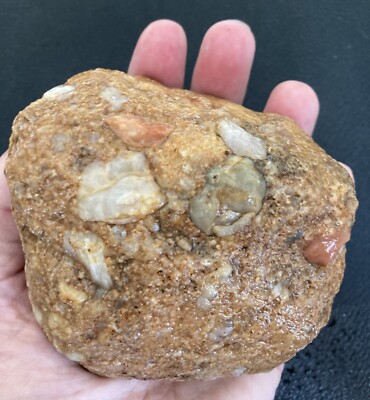 LARGE Michigan Puddingstone with Beautiful Chert, White & Rose Quartz 1 ...