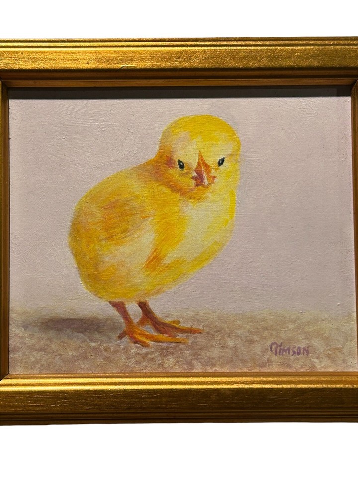 Acrylic Art Painting Framed Chick Frog Raccoon Wren Animals Stan Timson ...