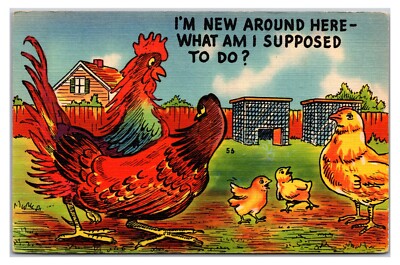 Vintage 1940s - Funny Chicken Comic Cartoon Postcard (Posted 1944) | eBay