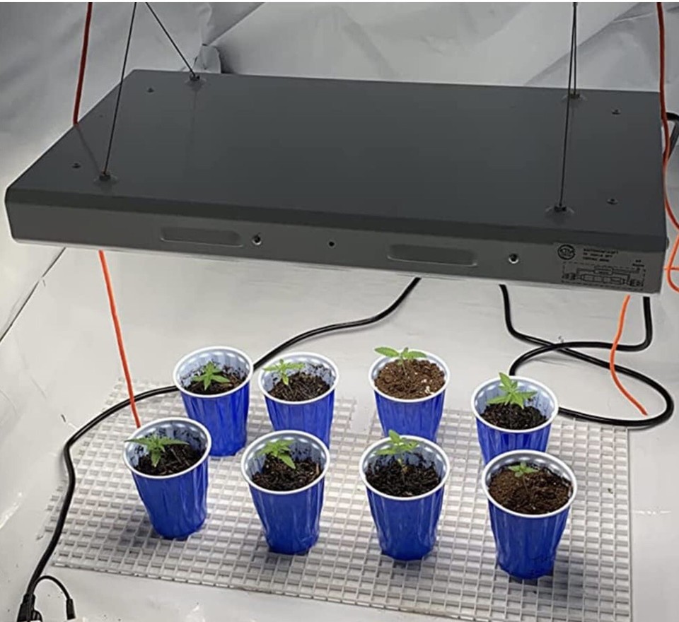 T5 Grow Light Fixture 2FT - 4X12W T5 HO LED Grow Light Bulb 120V | eBay