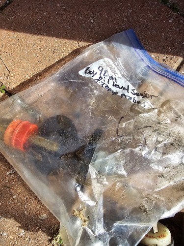 BERNSTEIN Float Switch MAM-713 KTT | eBay