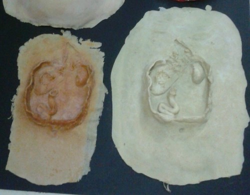 Latex Prosthetic Gutted Torso Movie prop horror Disembowel Intestines ...