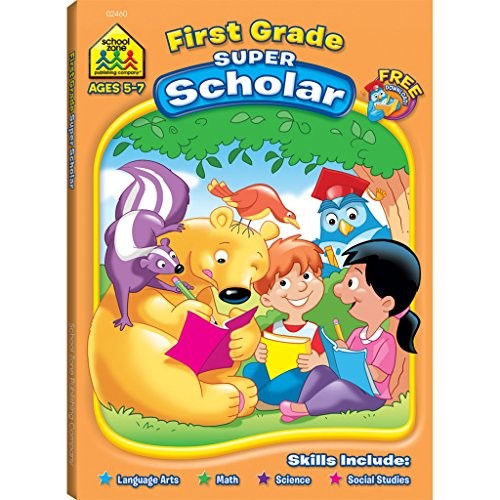 SUPER SCHOLAR WOOKBOOK-FIRST GRADE AGES 5-7 By Judith Giglio & Robin ...