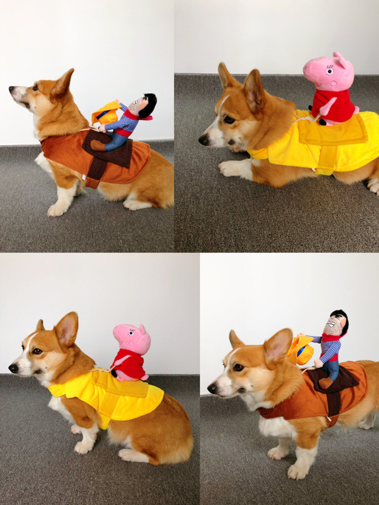 Corgi In A Costume