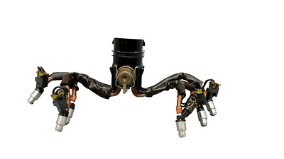 Central Port Spider Fuel Injector w Tips Chevy Pickup Truck VORTEC MPFI ...