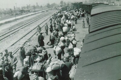WW II German Photo --- Concentration Camp Train | eBay