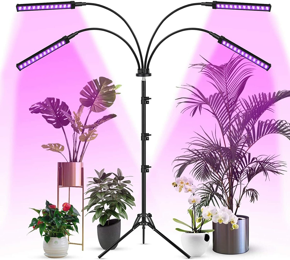 Growing Stand With Grow Lights SunBlaster Seed Starting 24" LED Light