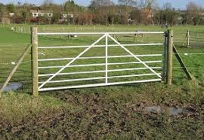 MUDDY GATEWAY GRASS SEED HORSE PONY REPAIR PADDOCK OVERSEED POACHED ...