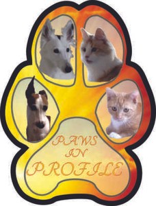 Paws In Profile | eBay Stores