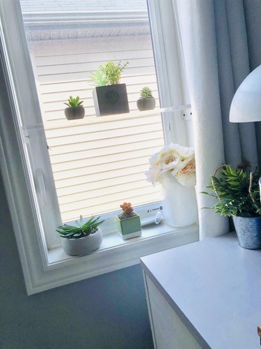 Clear Acrylic Floating Window Shelf for Plants/Collections - Many Sizes ...