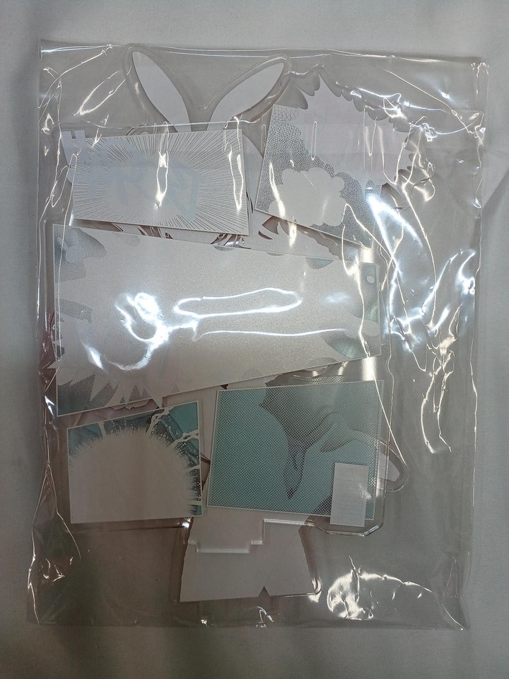 RURUDOT Acrylic Stand C104 Collectible Display Figurine Durable | eBay UK