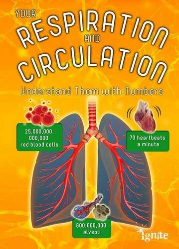 Your Respiration and Circulation (Ignite: Your Body by Numbers) | eBay