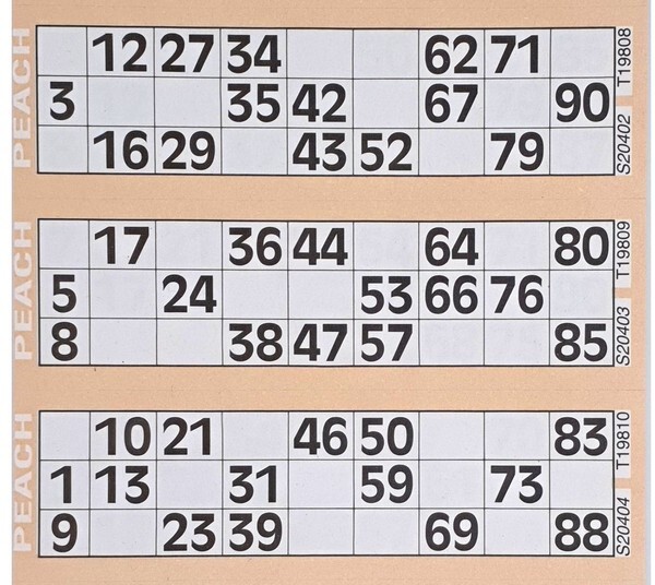Bingo Tickets 300 6 To View, All Colors Jumbo 1-90 booklet cards books ...