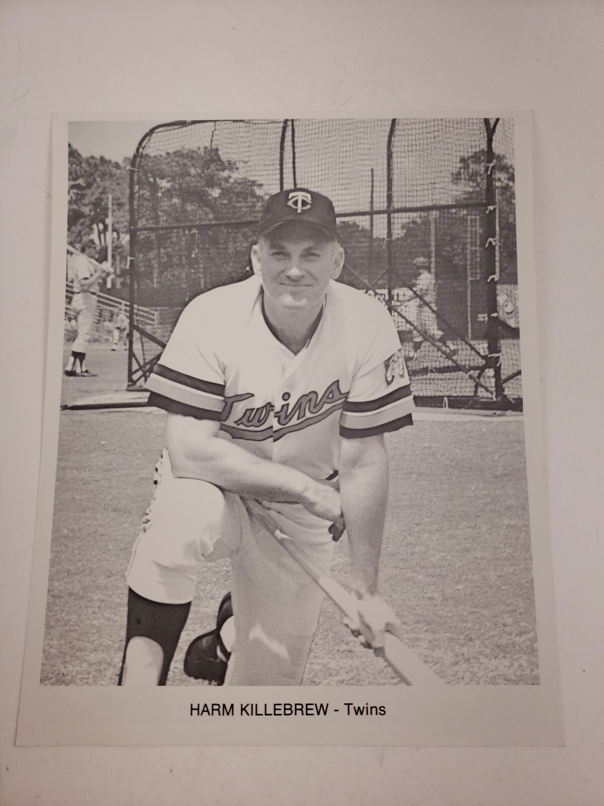 Tom Timmerman Vintage Press Photo Detroit Tigers Harm Killebrew Twins ...