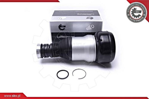 Air Spring Strut Right Rear For MERCEDES S-Class W222 13-18 2223203000 ...