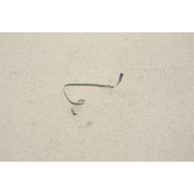 Fujitsu Siemens Amilo Li 1818 Touchpad Board Ribbon Cable | eBay