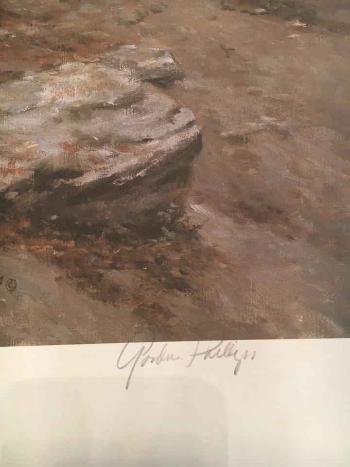 The Wizard***Damaged Print ***Gordon Phillips - General Forrest #500 ...