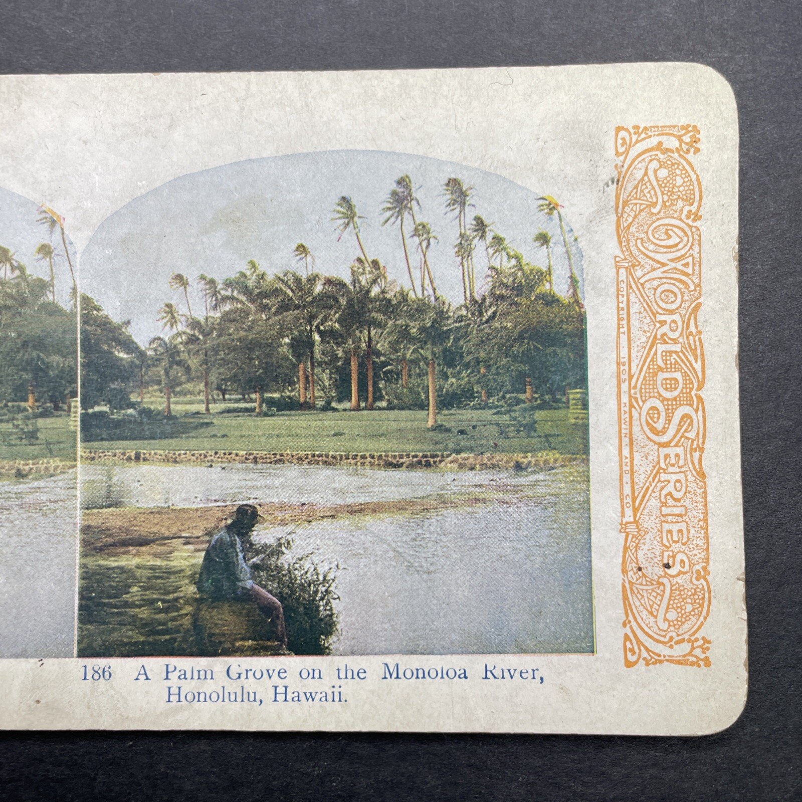 Antique 1905 Manoa Stream Honolulu Hawaii Stereoview Photo Card P580 ...