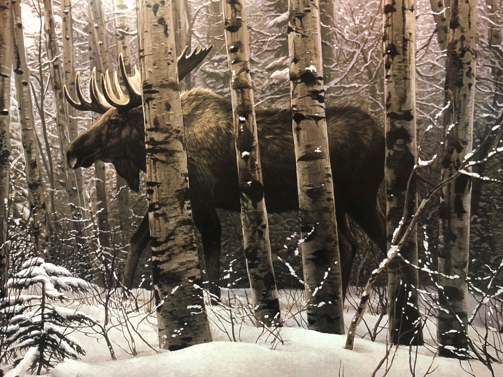 Stephen Lyman "A Walk in the Woods" FRAMED Art Nature Wildlife Moose | eBay