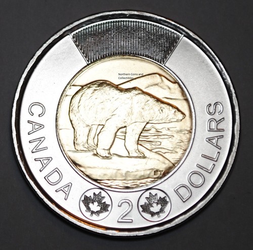Canada 2022 2 Dollar BU Canadian Toonie Polar Bear Uncirculated Coin ...