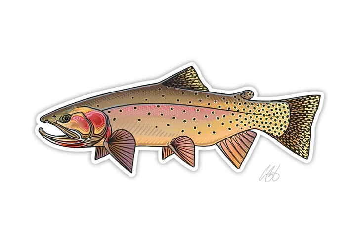 Yellowstone Cutthroat Trout Fish Decal 5.5 Surface Mount Casey ...