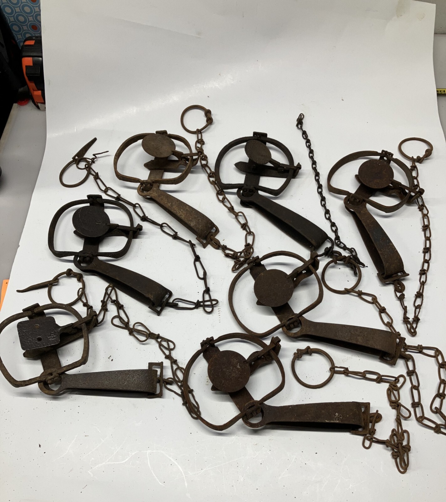 7 Total No. 1 Traps - Blake & Lamb and Unknown Brand Long Spring Traps ...