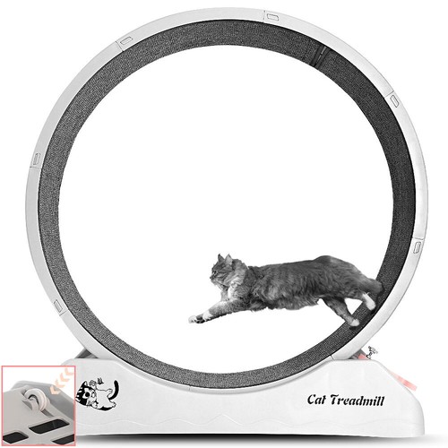 Cat Exercise Wheel 35 inch for Indoor Cats, Safety Cat Treadmill ...