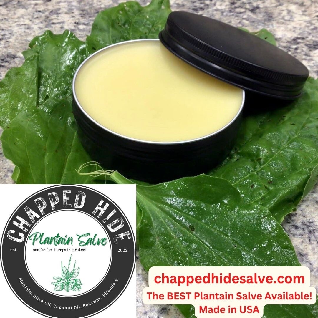 Chapped Hide ® PREMIER Plantain Salve - Bug Bites, Dry Skin, Rashes ...