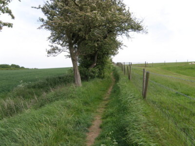 Photo 6x4 Nene Way heading towards Warmington Eaglethorpe c2009 | eBay UK