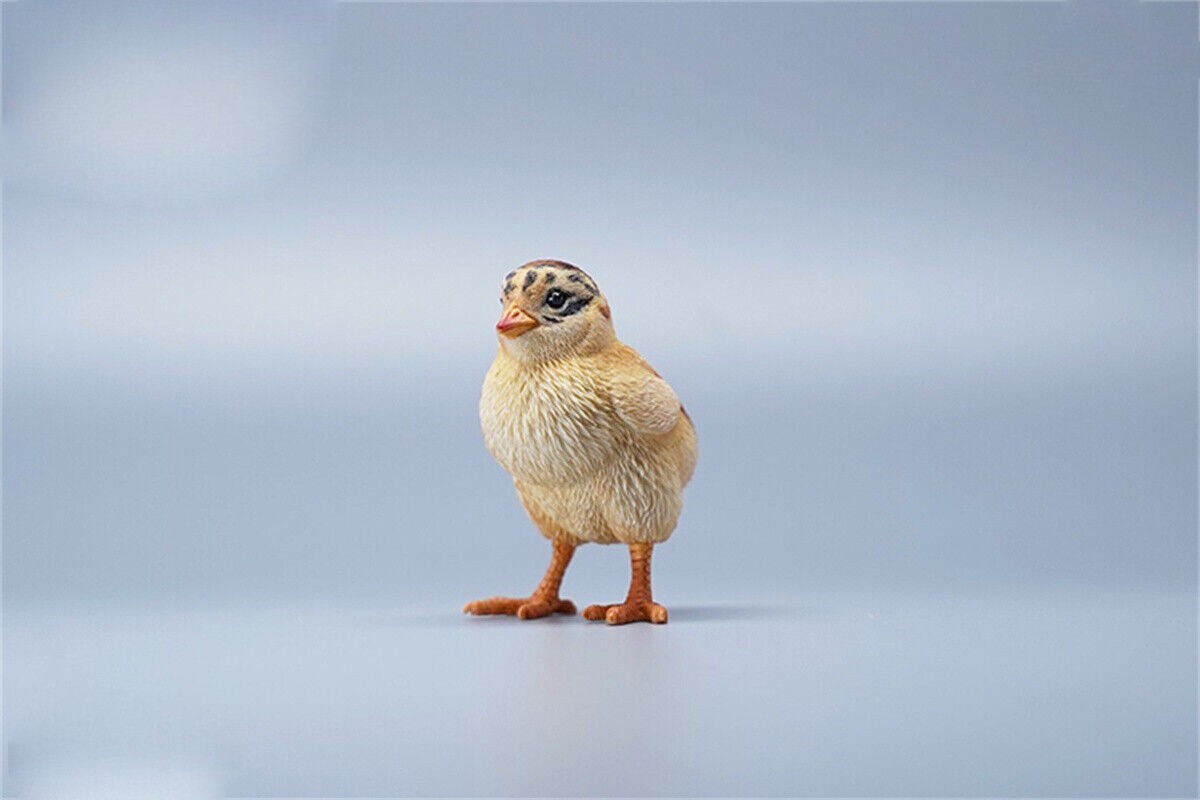Brandnew 1/3 Chick Duckling Model Realistic Animal Model 32201A Unopend ...
