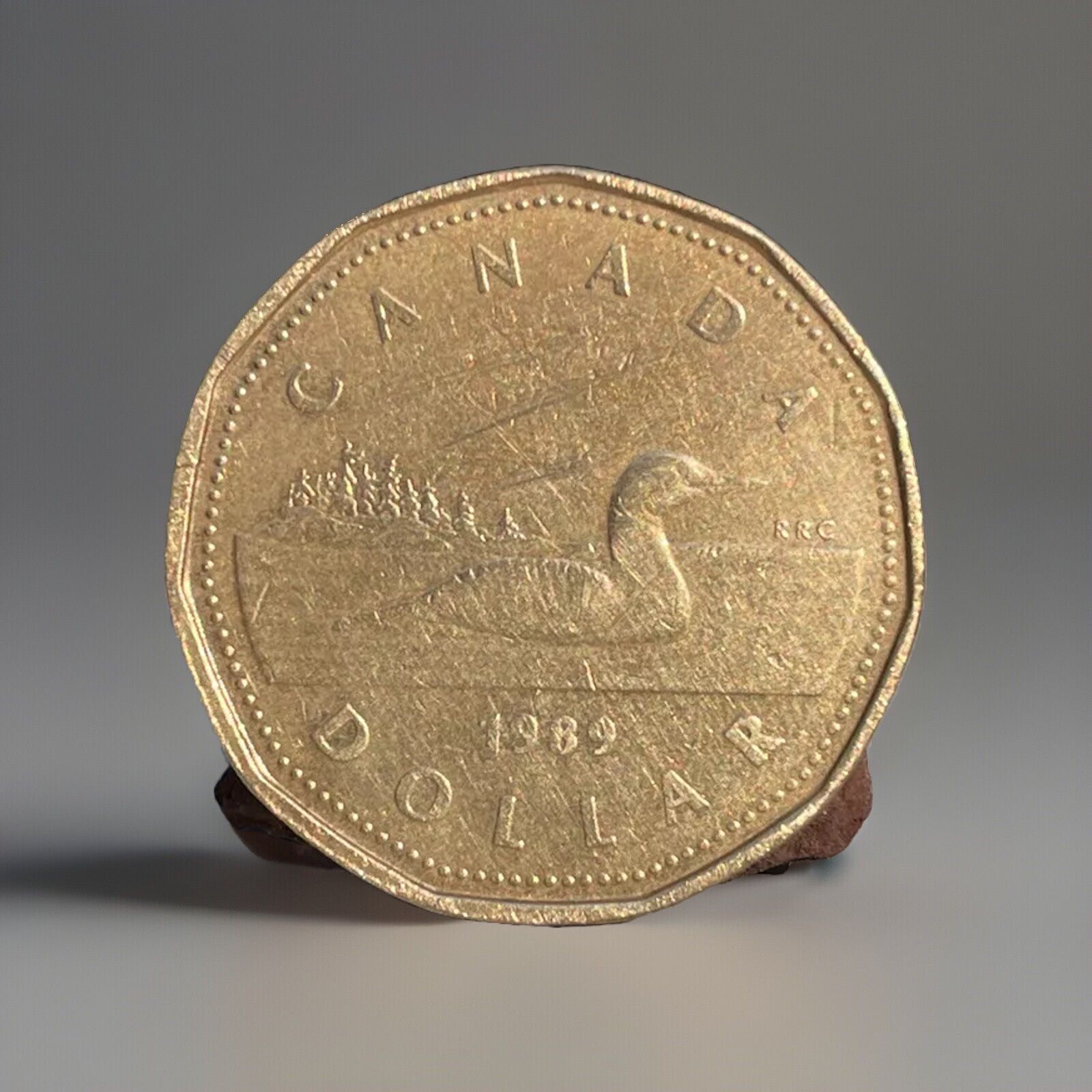 1989 CANADIAN ELIZABETH II $1 LOONIE DOLLAR COIN CIRCULATED VINTAGE ...