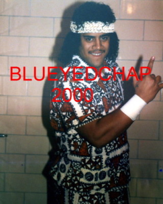 ISLANDER TAMA WRESTLER 8 X 10 WRESTLING PHOTO WWF WCW | eBay