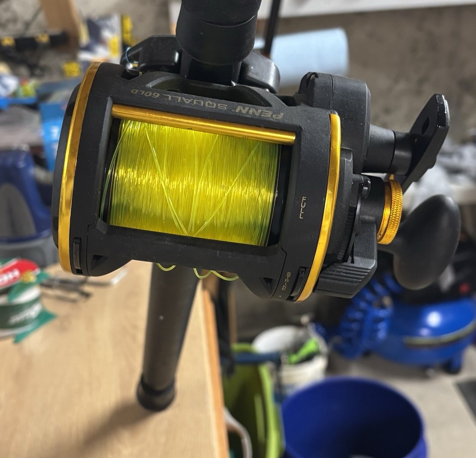 Penn 60LD Fishing Reel With Penn Rod And Line | eBay