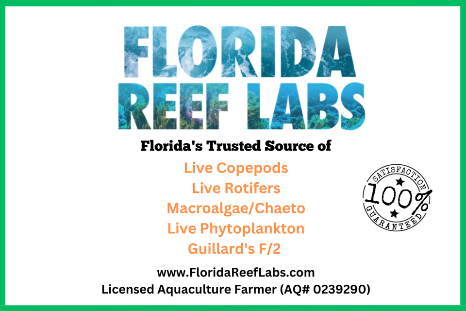 Copepod Breeder / Copepod Hotel / Pod Motel &Amphipods - Florida Reef ...